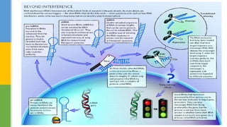 Gene silencing | PPTX