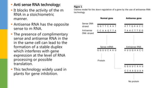 Gene silencing | PPTX