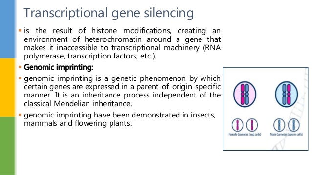Gene silencing