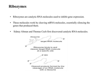 Gene silencing last | PPTX