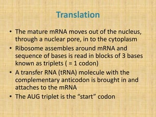 Genes in Action | PPTX