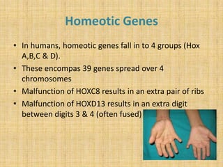Genes in Action | PPTX