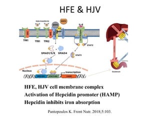 Genes in liver disease.pptx
