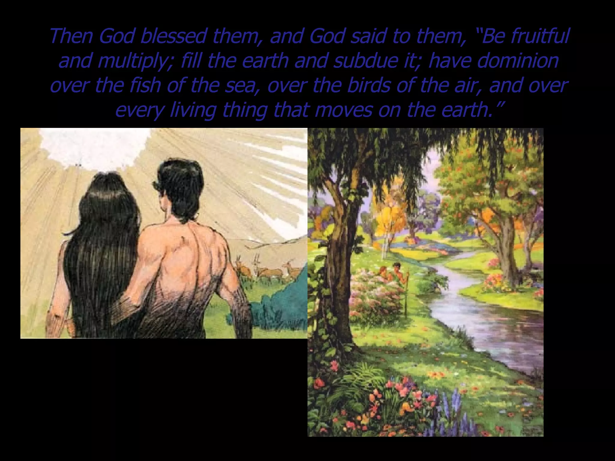 Genesis 1 In The Beginning | PPS