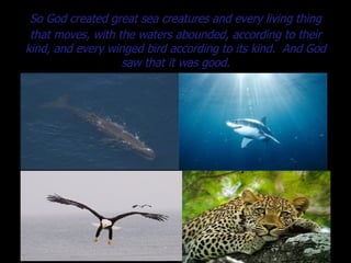 Genesis 1 In The Beginning | PPS