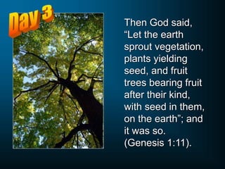 Genesis 01 six days of creation | PPT