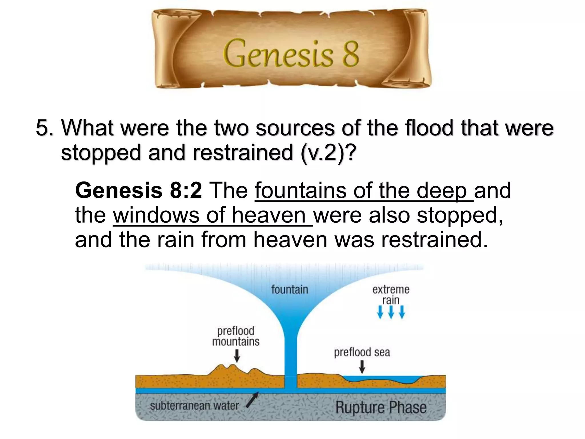 God Remembered Noah - Genesis 8 | PPTX
