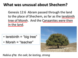 Abram Goes to Egypt | PPT