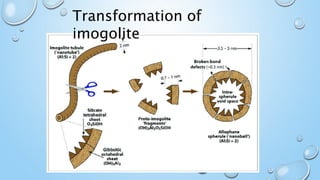 GENESIS AND TRANSFORMATION OF NON CRYSTALLINE SILICATE CLAY MINERAL.pptx