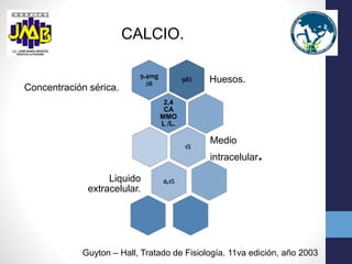 Metabolismo del calcio y el fosforo en el cuerpo humano | PPTX