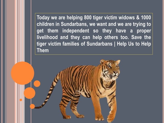 GENESIS EDUCATIONAL.pptx