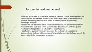 genesis formacion del suelo.pptx