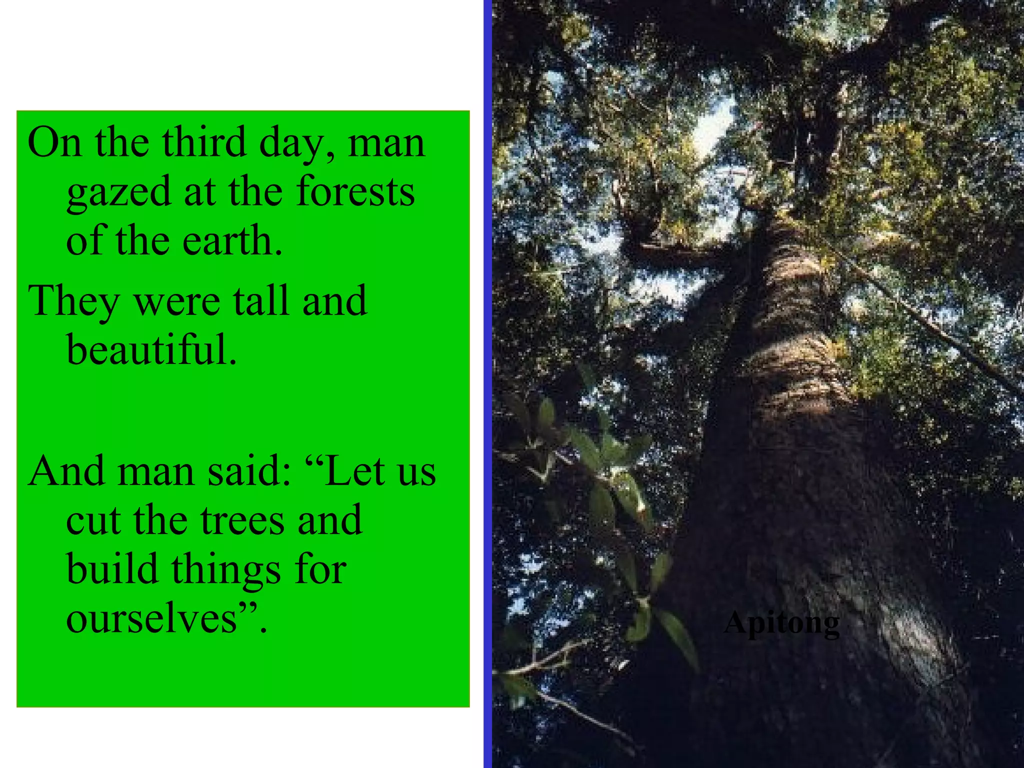 Genesis in reverse | PPT