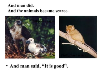 Genesis in reverse | PPT