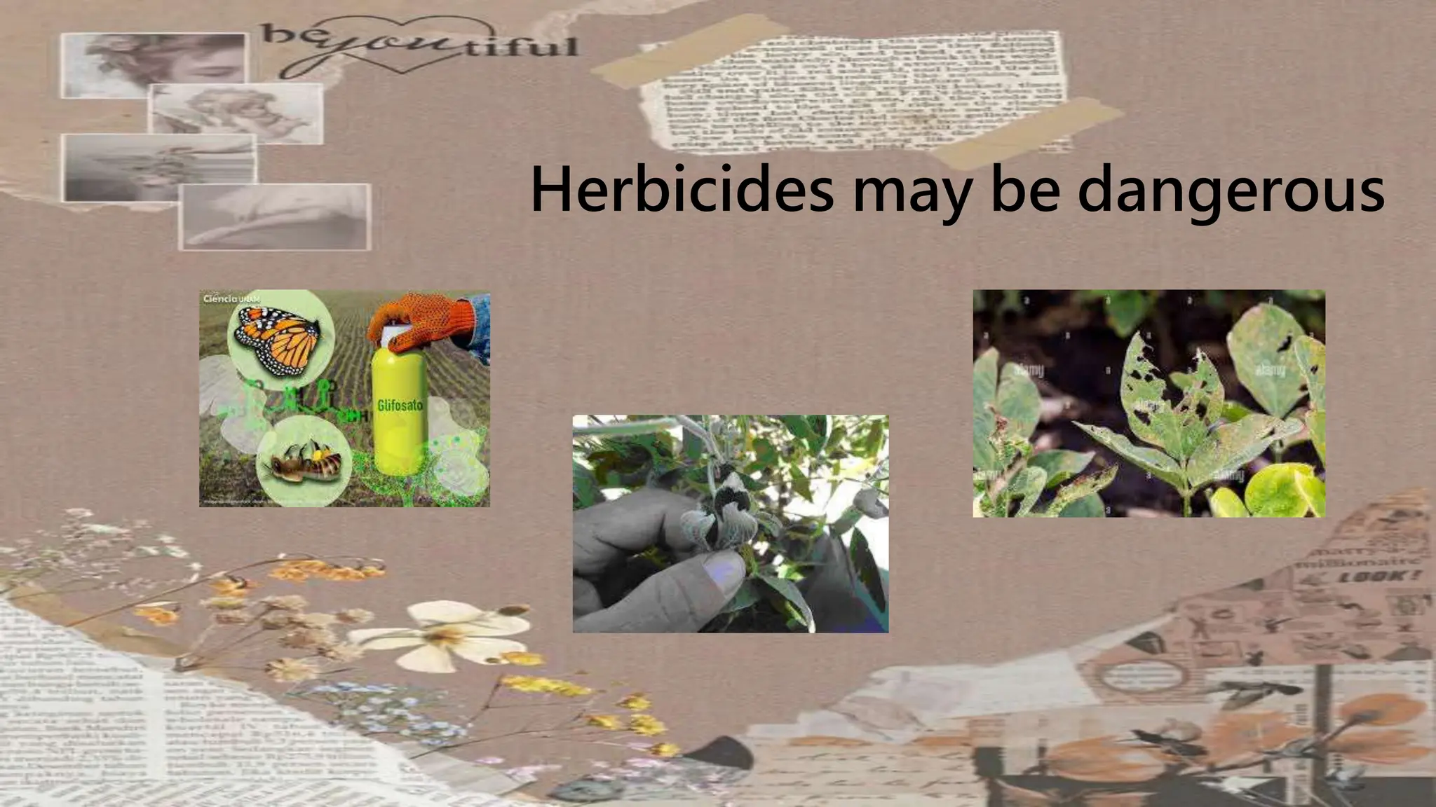 GENESIS NUÑEZ VIERNES 08 04 2022.pptx