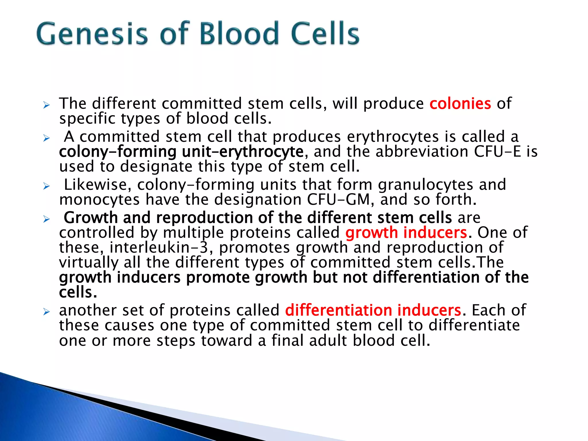 General physiology - Genesis of blood cells | PPTX