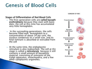General physiology - Genesis of blood cells | PPTX