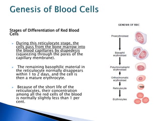 General physiology - Genesis of blood cells | PPTX
