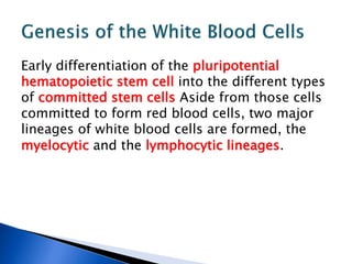 General physiology - Genesis of blood cells | PPTX