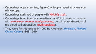 Genesis of Cabot Rings in Blood Abnormalities.pptx