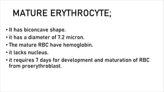 Genesis of Rbcs | PDF
