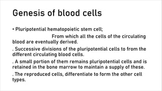 Genesis of Rbcs | PDF