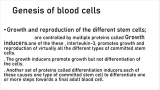 Genesis of Rbcs | PDF