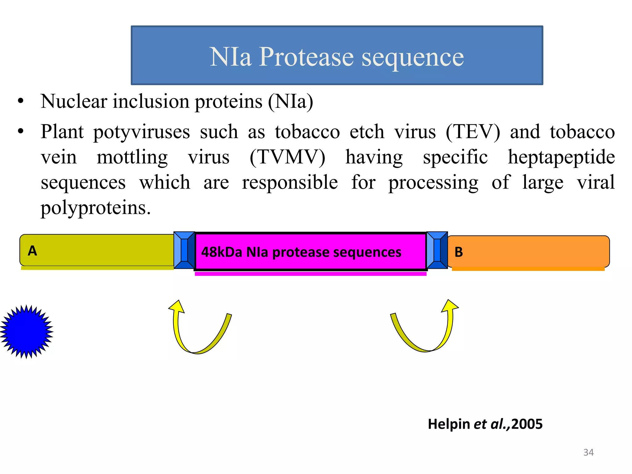 Gene stacking and its materiality in crop improvement | PDF