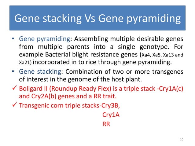 Gene stacking and its materiality in crop improvement | PDF
