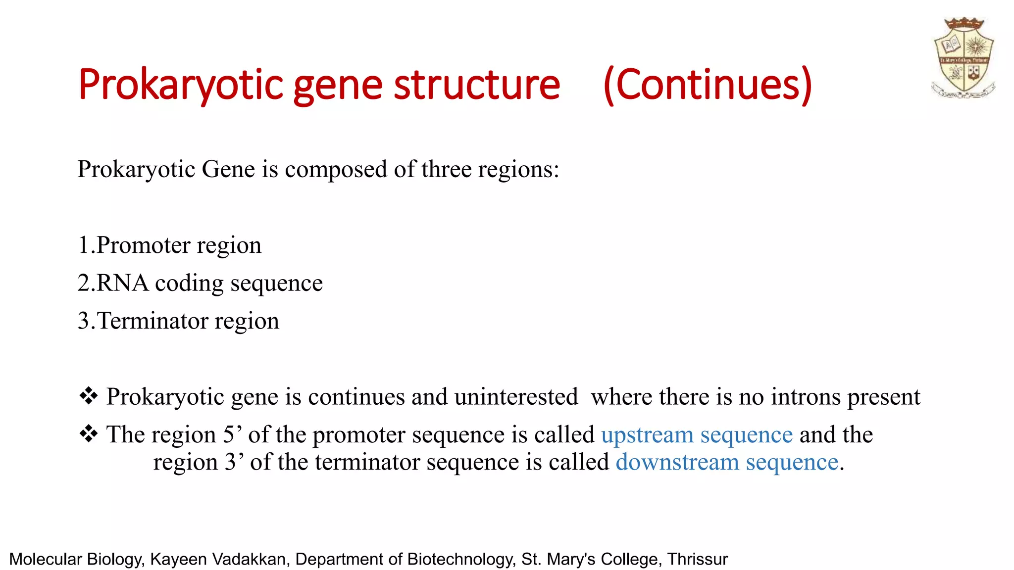 Gene structure | PPTX