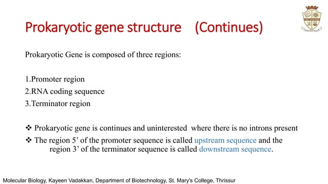 Gene structure | PPTX | Genetics | Science