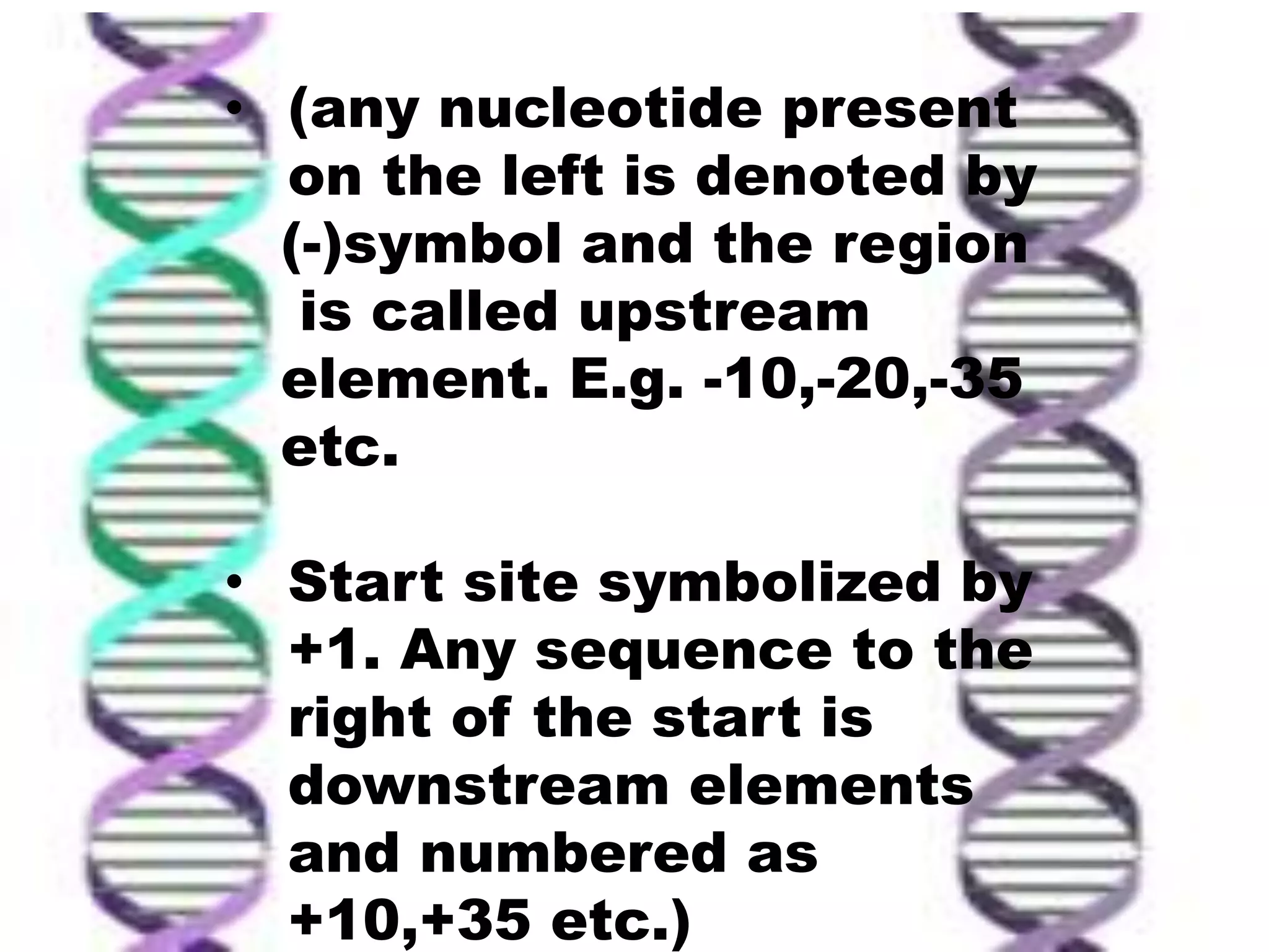 Gene structure and genetic code | PPTX