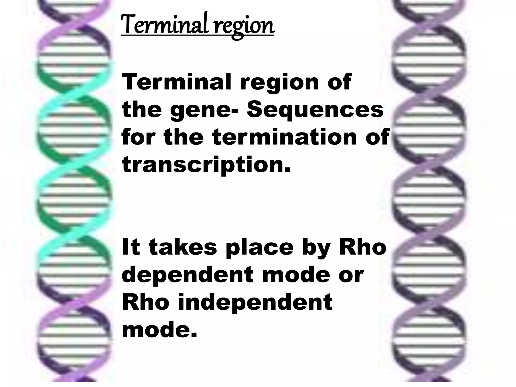 Gene structure and genetic code | PPTX