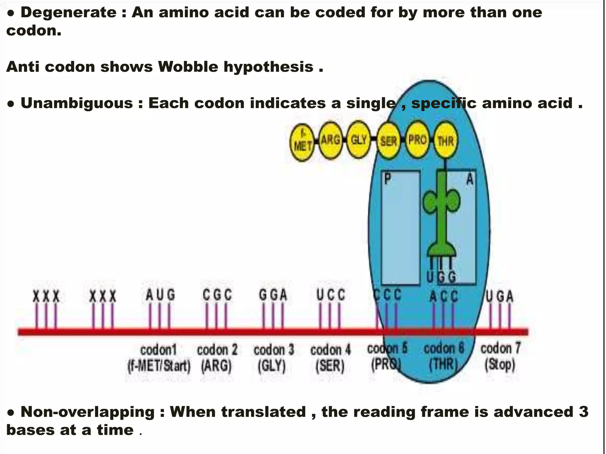 Gene structure and genetic code | PPTX