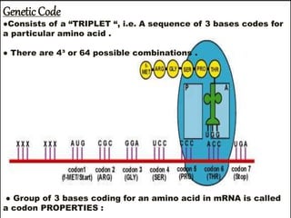 Gene structure and genetic code | PPTX
