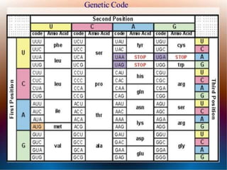 Gene structure and genetic code | PPTX