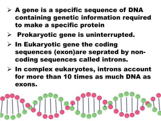 Gene structure and genetic code | PPTX