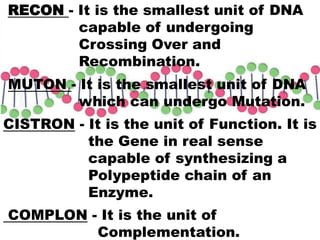Gene structure and genetic code | PPTX