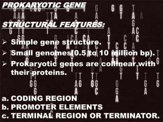 Gene structure and genetic code | PPTX