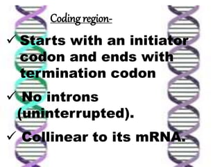 Gene structure and genetic code | PPTX