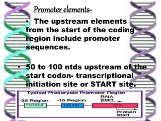Gene structure and genetic code | PPTX