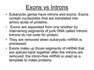 Gene_Structure.ppt, extrons, intons, locus | PPT