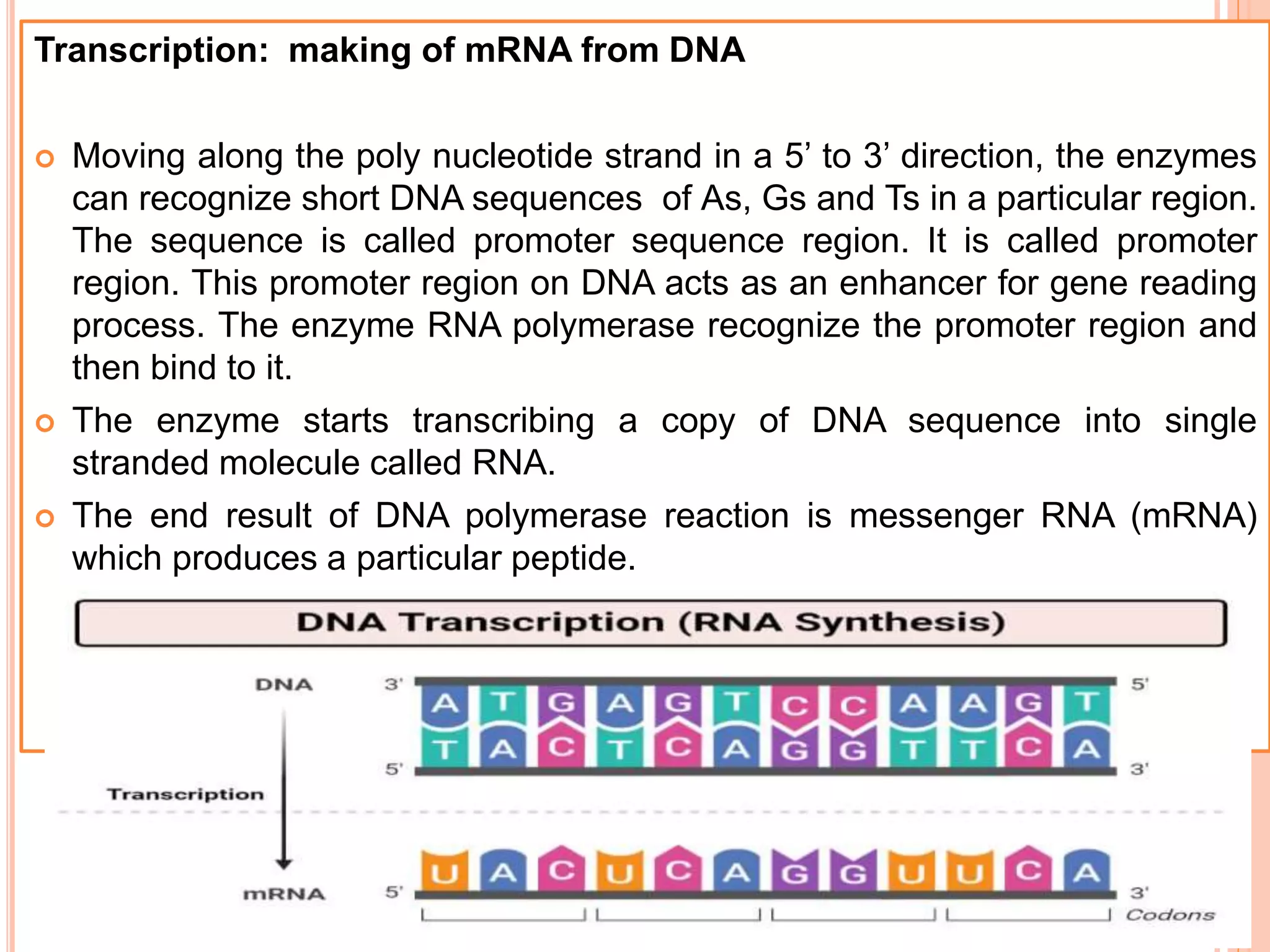 Gene structure and its characteristics | PPTX
