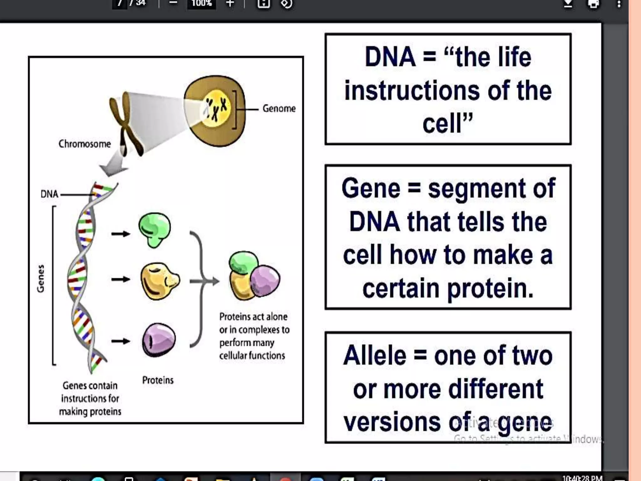 Gene structure and its characteristics | PPTX
