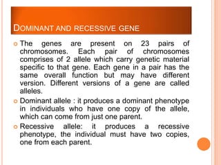 Gene structure and its characteristics | PPTX