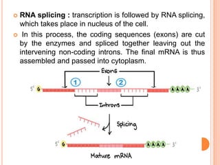 Gene structure and its characteristics | PPTX