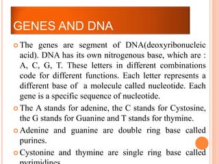 Gene structure and its characteristics | PPTX