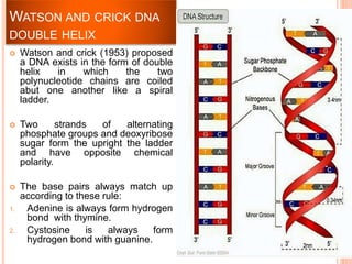 Gene structure and its characteristics | PPTX