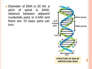 Gene structure and its characteristics | PPTX