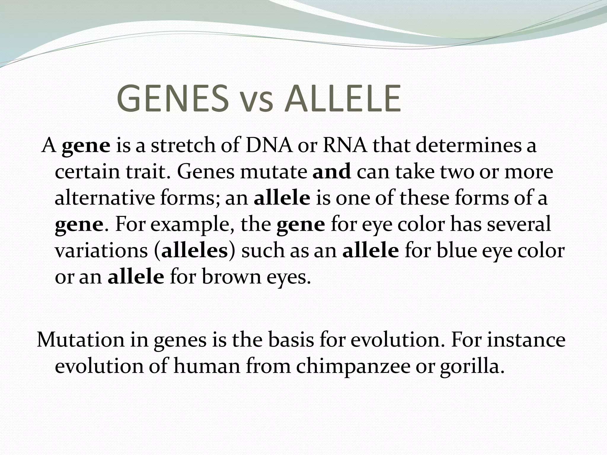 Gene structure and expreession | PPTX